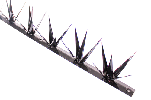 Penca – Productos troquelados